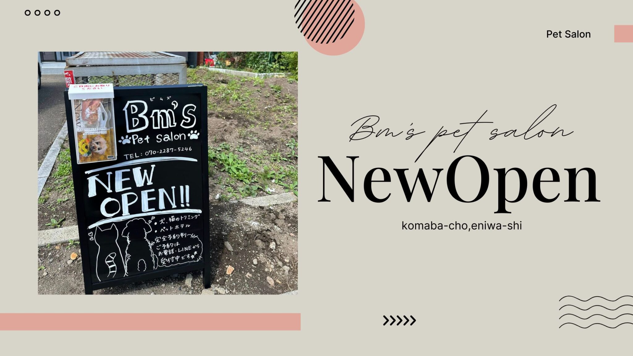 【店舗情報】2025年2月26日(水)”イエローグローブ恵庭店”書籍コーナーオープン！約4万冊！雑誌・マンガ本・ガイドブック・参考書・文具・入学準備～北海道・恵庭市～ - e-niwa plus＋